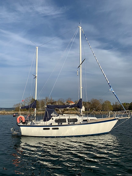 Til salgs: Winga 31 MS - 1982 | FINN.no