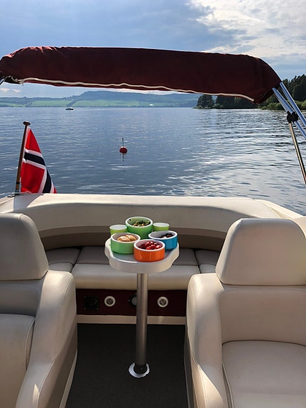 Til salgs: Chris Craft 248 concept cruiser med henger - 1994 | FINN.no