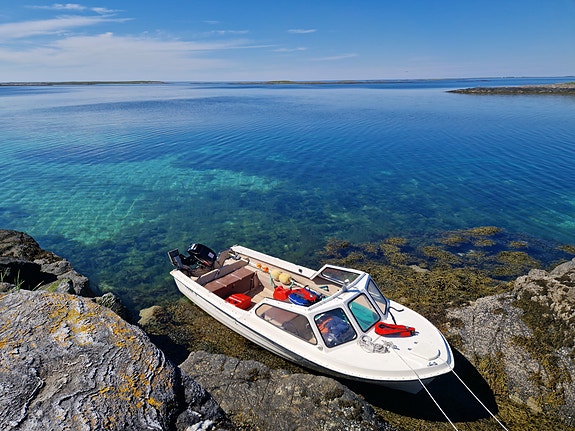 Til salgs: Rana Rana 17 Fisk - 1980 | FINN.no