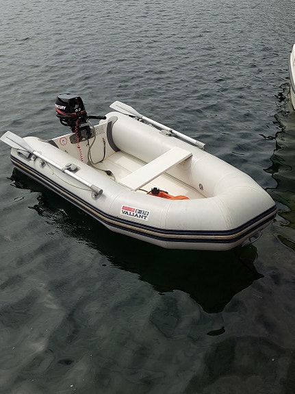 Til salgs: Valiant D-270 - 2010 | FINN.no