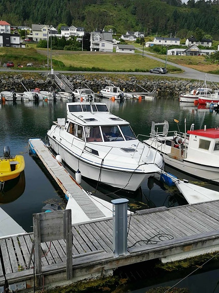 Til salgs: Halco Offshore 870 - 1992 | FINN.no