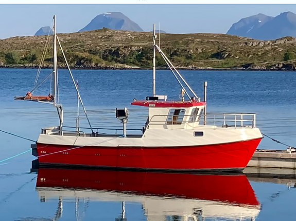 Til salgs: Selfa Selfa 26 kystsjark - 1984 | FINN.no