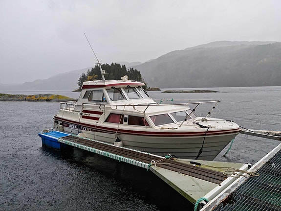 Til salgs: Saga 25 Turbo LS (Lukka styrehus) - 1995 | FINN.no