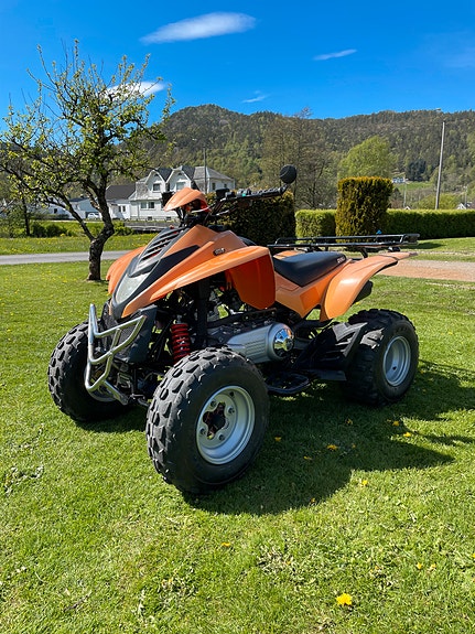 Til salgs: Dinli 801-270 (ATV) - 2006 | FINN.no