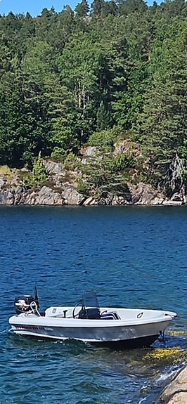 Til salgs: Pioner 2003 - 2003 | FINN.no