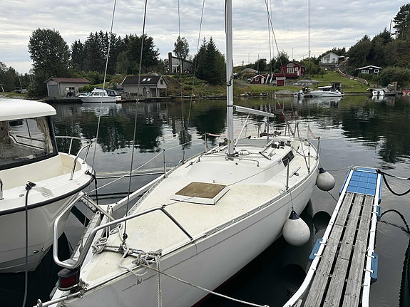 Til salgs: Albin Express 26 - 1980 | FINN.no